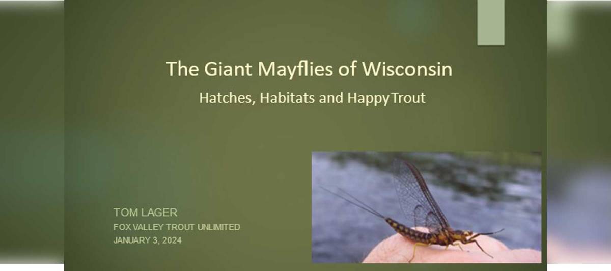 January 3rd Meeting – Tom Lager on “The Giant Mayflies of Wisconsin ...